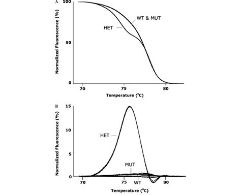 Melting Curves Of An Snp With Nearest Neighbor Symmetry After Pcr