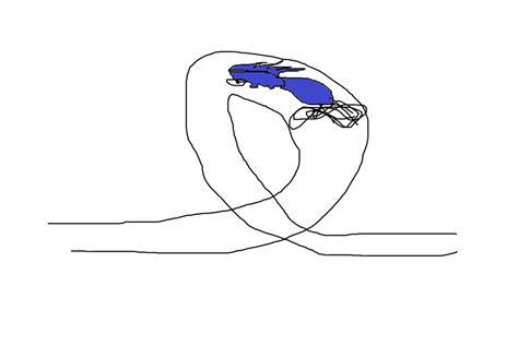 Sonic Does A Loopity Loop By Edbitthetewhog On Deviantart