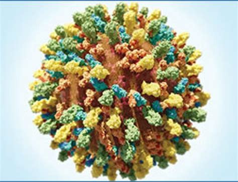 Scdist Robust Identification Of Perturbed Cell Types In Single Cell
