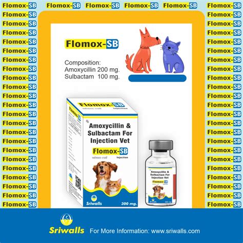 Flomox Sb Inj 300 Mg 1 Gm At Rs 6274vial In Roorkee Id 2854507991455