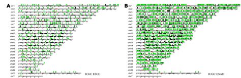 Figure 2 From The Tp53 Related Signature Predicts Immune Cell