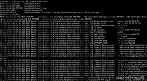 容器化技术docker由入门到实战轻量级虚拟化docker容器实战 Csdn博客