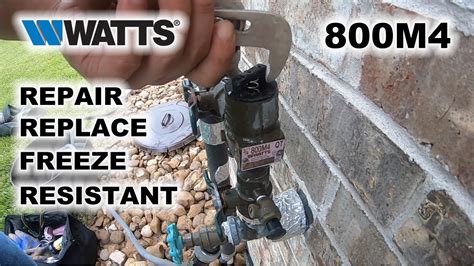 How To Fix A Leaky Backflow Preventer At Crystal Twyman Blog