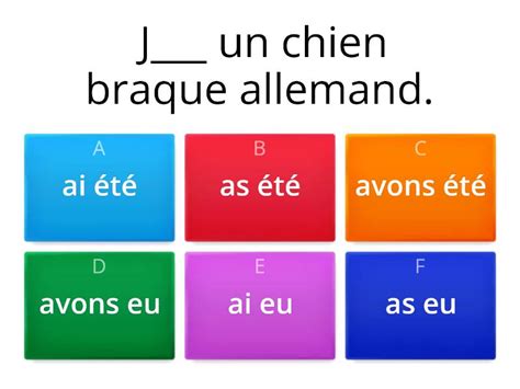 Le Passé Composé Avoir Quiz