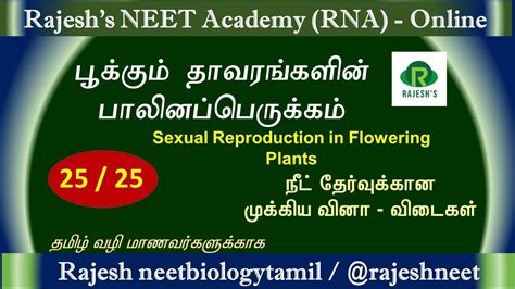 Sexual Reproduction In Flowering Plants Important Questions Rajesh