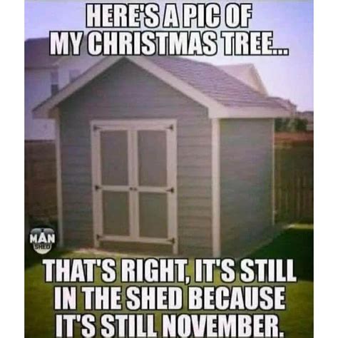 25 Of The Funniest November Memes 2024 Edition