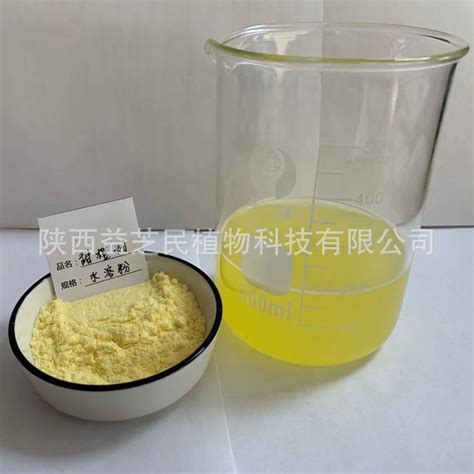 甜橙粉 甜橙提取物 益芝民现货 甜橙汁粉 水溶甜橙粉附三方报告 阿里巴巴