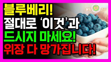 블루베리 이것과 같이 먹으면 위장 다 망가지고 영양소 다 파괴돼요 블루베리 더욱 건강하게 먹는 방법도 확인하세요 같이 먹으면 좋은 음식과 안 되는 음식 세척법