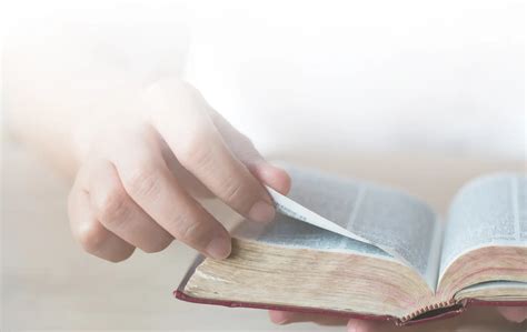 2401 섬기는 사람들 써리장로교회