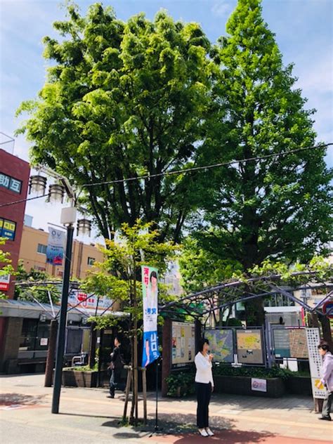 【憲法記念日 街頭演説会】 Post 公明党 世田谷区議会議員 河村みどり オフィシャルサイト