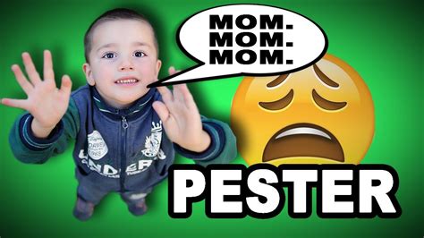 Learn English Words Pester Meaning Vocabulary With Pictures And