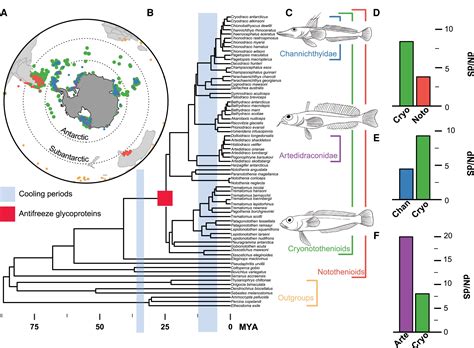 Geographic Distribution Evolution