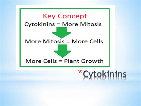 Ppt Plant Hormones Powerpoint Presentation Free Download Id 1561212