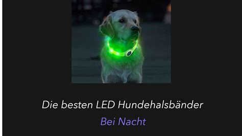 TOP Der besten LED Hundehalsbänder Blogseite