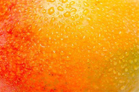 Mango Wallpaper Wallpapersafari