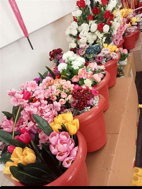 Varunapriya Sundararajan On Linkedin Flowers Bring Peace And Happiness 🌺 Every Colour Has