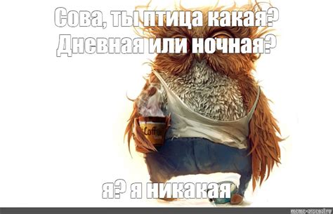 Мем Сова ты птица какая Дневная или ночная я я никакая Все