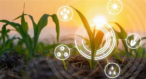Harnessing Data Analytics For Regenerative Agriculture Building A