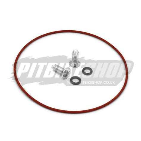 Stator Plate Seal And Screw Set Pit Bike Shop