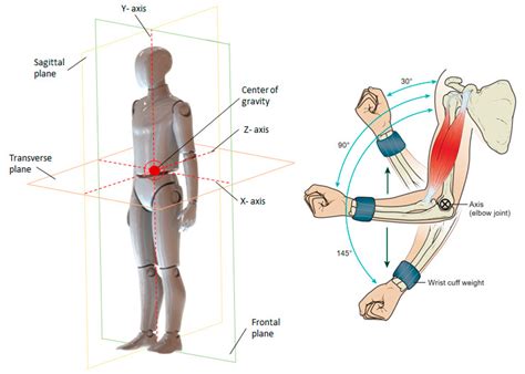New Method For Reduced Number Imu Estimation In Observing Human Joint Motion