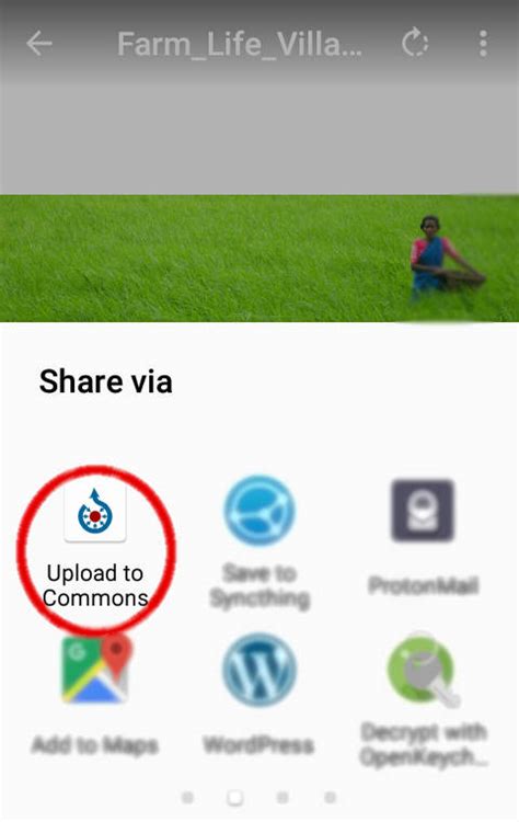 commons mobile app