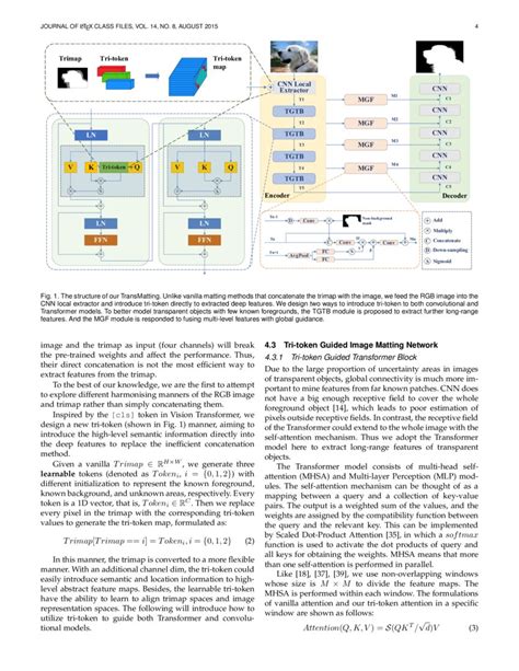 Transmatting Tri Token Equipped Transformer Model For Image Matting