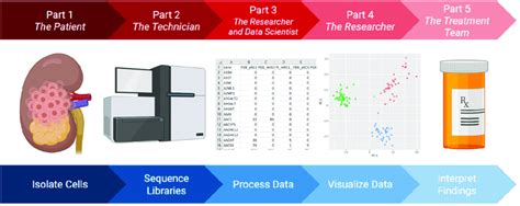 Schematic Overview Of The ScRNAseq Case Study Description Schematic Download Scientific