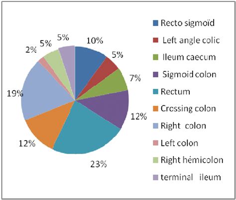 Classification Per Tumor Localization Download Scientific Diagram