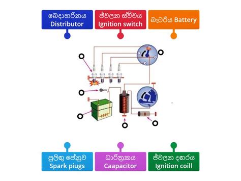 පුලිඟු ජ්වලන පද්ධතිය Labelled Diagram