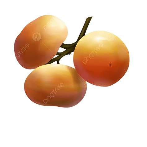 감 일러스트 가을의 시작 가을 가을날 Png 일러스트 및 Psd 이미지 무료 다운로드 Pngtree