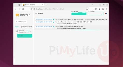 Easily Monitor Your Docker Logs With Dozzle Pi My Life Up