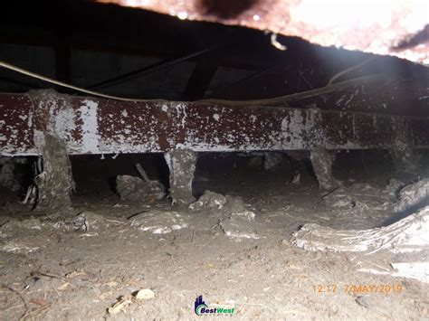 Buyer Beware Ceiling Sag Is Not Structural Building Inspections In