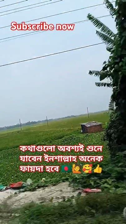 প্রত্যেকটা যুবকদের এই কথাগুলো শোনা উচিত Islamicstatus Viralvideo Islamicshortvideo Foryou 🥰🥰
