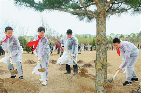 掀起造林绿化热潮 绘出美丽中国的更新画卷 四川日报电子版