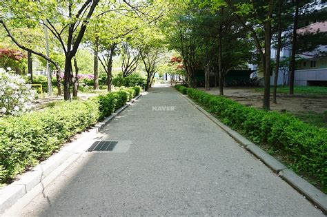 서울시 노원구 상계동월세아파트 1억50만 상계주공9단지 네이버 블로그