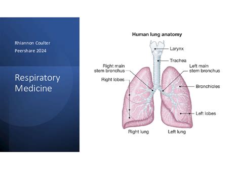 Respiratory Lecture Slides Content Medall