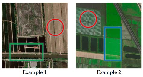 Remote Sensing Free Full Text Cct Conditional Co Training For