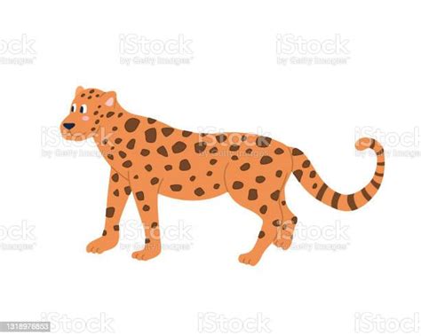 흰색 배경에 귀여운 재미 재규어 만화 플랫 스타일의 벡터 이미지 어린이 포스터 엽서 의류 및 인테리어 장식 고양잇과에 대한 스톡 벡터 아트 및 기타 이미지 Istock