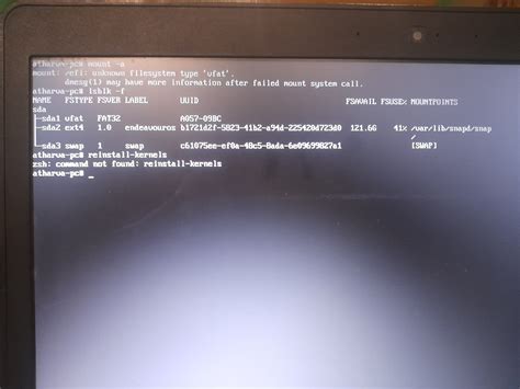 Failed To Mount Efi Newbie EndeavourOS