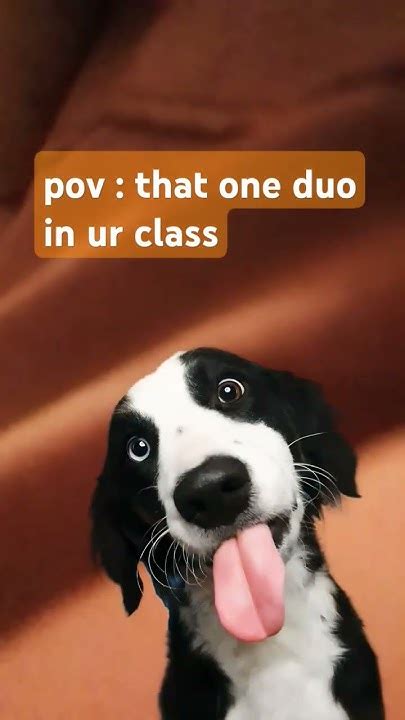 That One Bff Dou Funny Memes Youtube