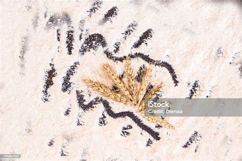 다른 품종에서 듀 럼 밀의 수확 배경 테이블 위에 밀가루가 흩어져 있습니다 평면도 0명에 대한 스톡 사진 및 기타 이미지 0