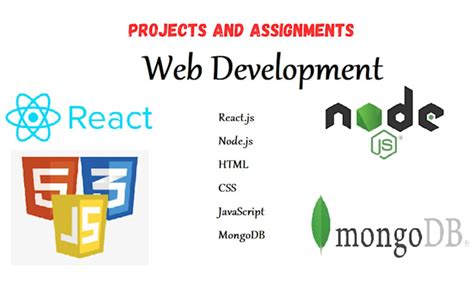 Tutor Web Development Python Html Css Javascript React Node Js By Engrdaniel5 Fiverr