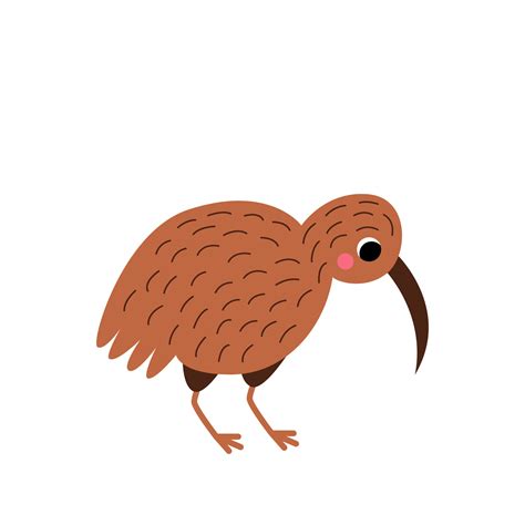 Vector Picture Of Cute Cartoon Kiwi Bird Isolated On White Background