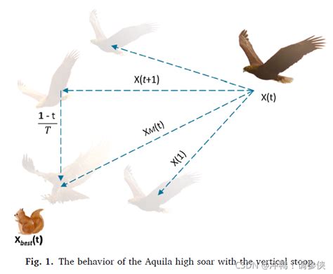 天鹰算法ao Csdn博客