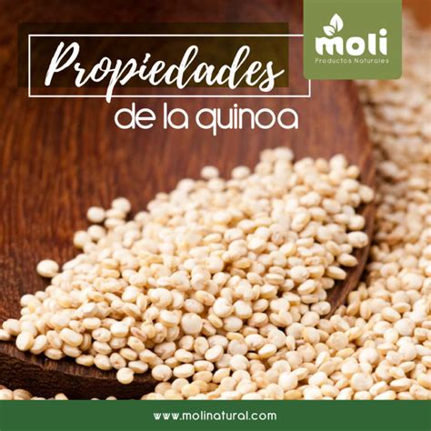 Importantes Propiedades Y Beneficios De La Qu Nua