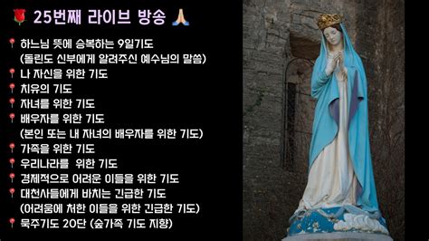 치유의 숲 25번째 라이브ㅣ하느님의 뜻에 승복하는 기도ㅣ자신을 위한 기도ㅣ치유의 기도ㅣ자녀ㅣ배우자ㅣ가족을 위한 기도 외 묵주기도 20단 숲가족의 기도지향 Youtube