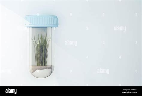 Flask With Grass With Copy Space D Rendering Stock Photo Alamy