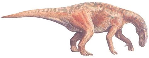 Probactrosaurus Alchetron The Free Social Encyclopedia