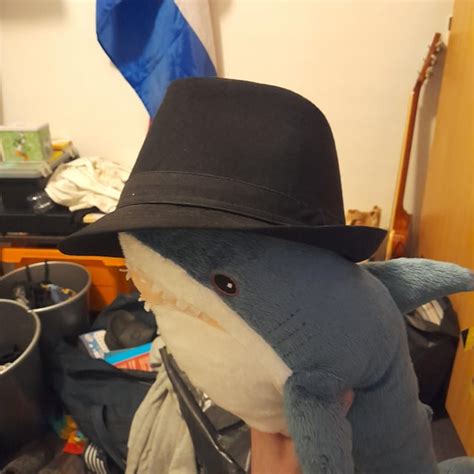 My Blåhaj Decided To Wear Hat Rblahaj