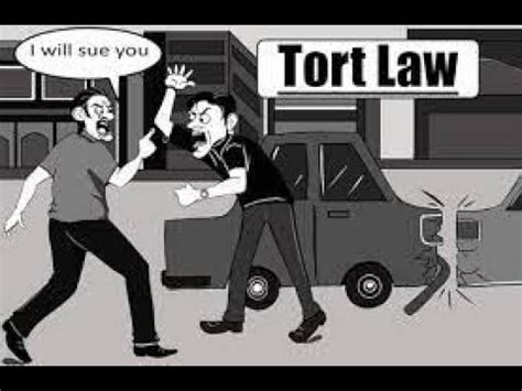 Wrongful Act In Law Of Torts Definition And Example YouTube